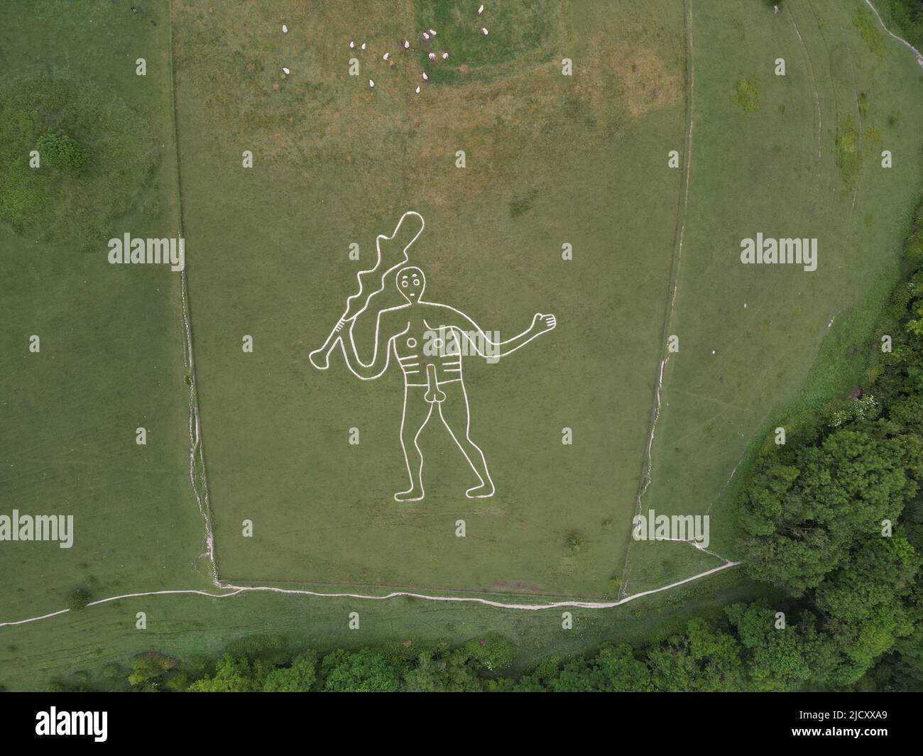 Cerne abbas giant chalk Hill figure. Wessex Ridgeway Long-distance ...