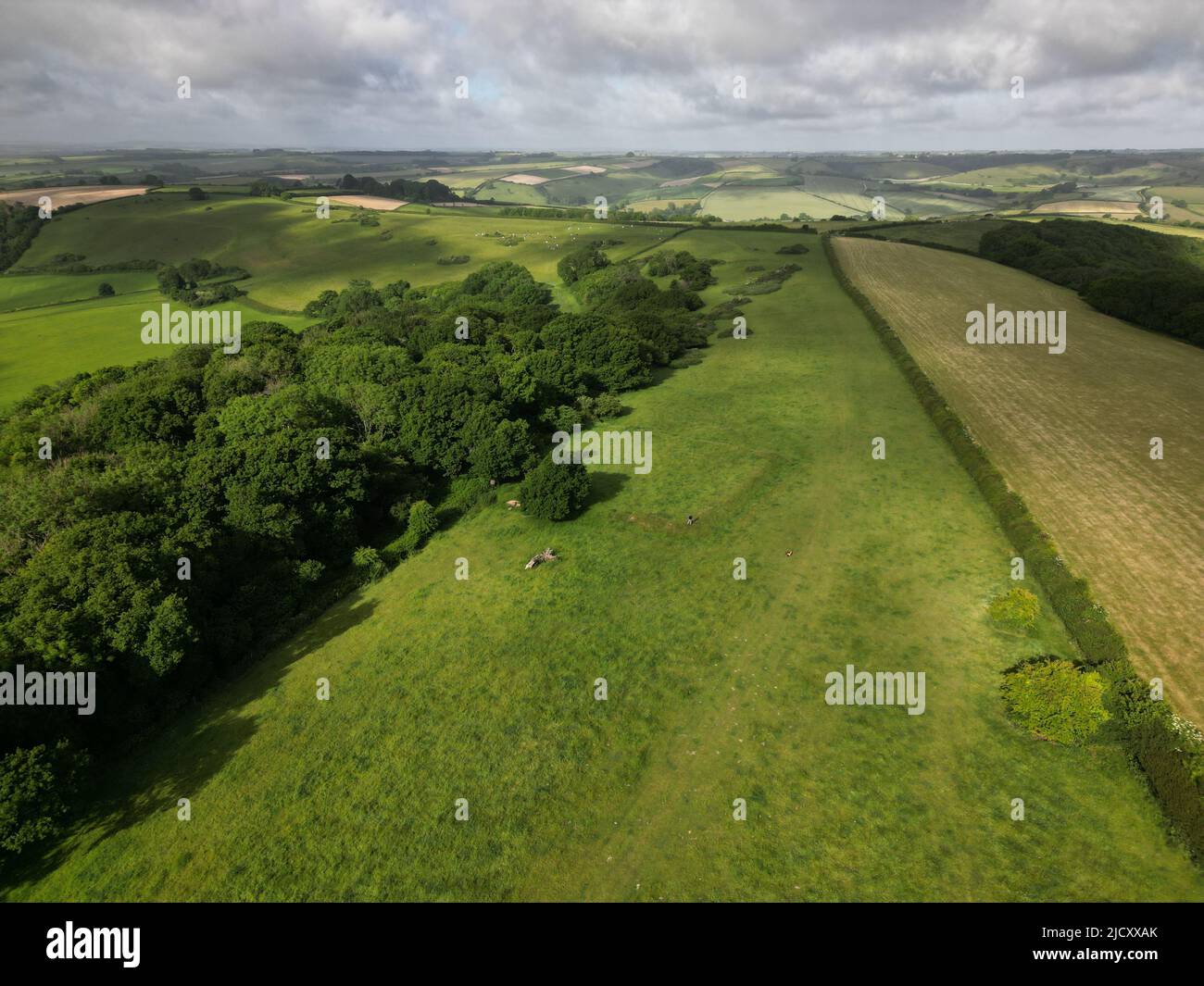 Wessex Ridgeway Long-distance trail prehistoric route. England. UK ...