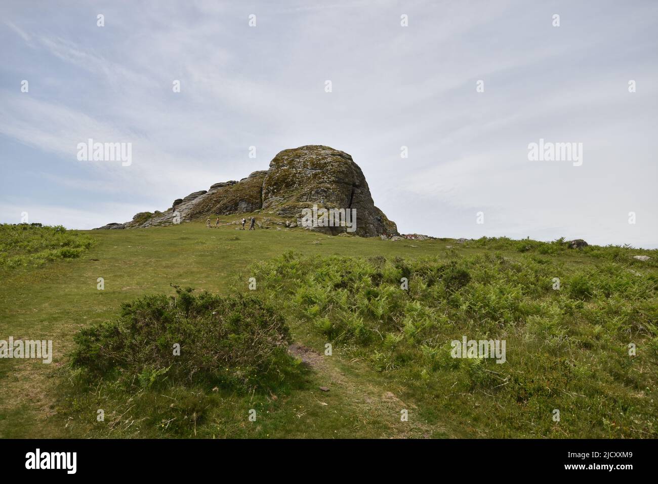 Haytor Rock Dartmoor Stock Photo - Alamy