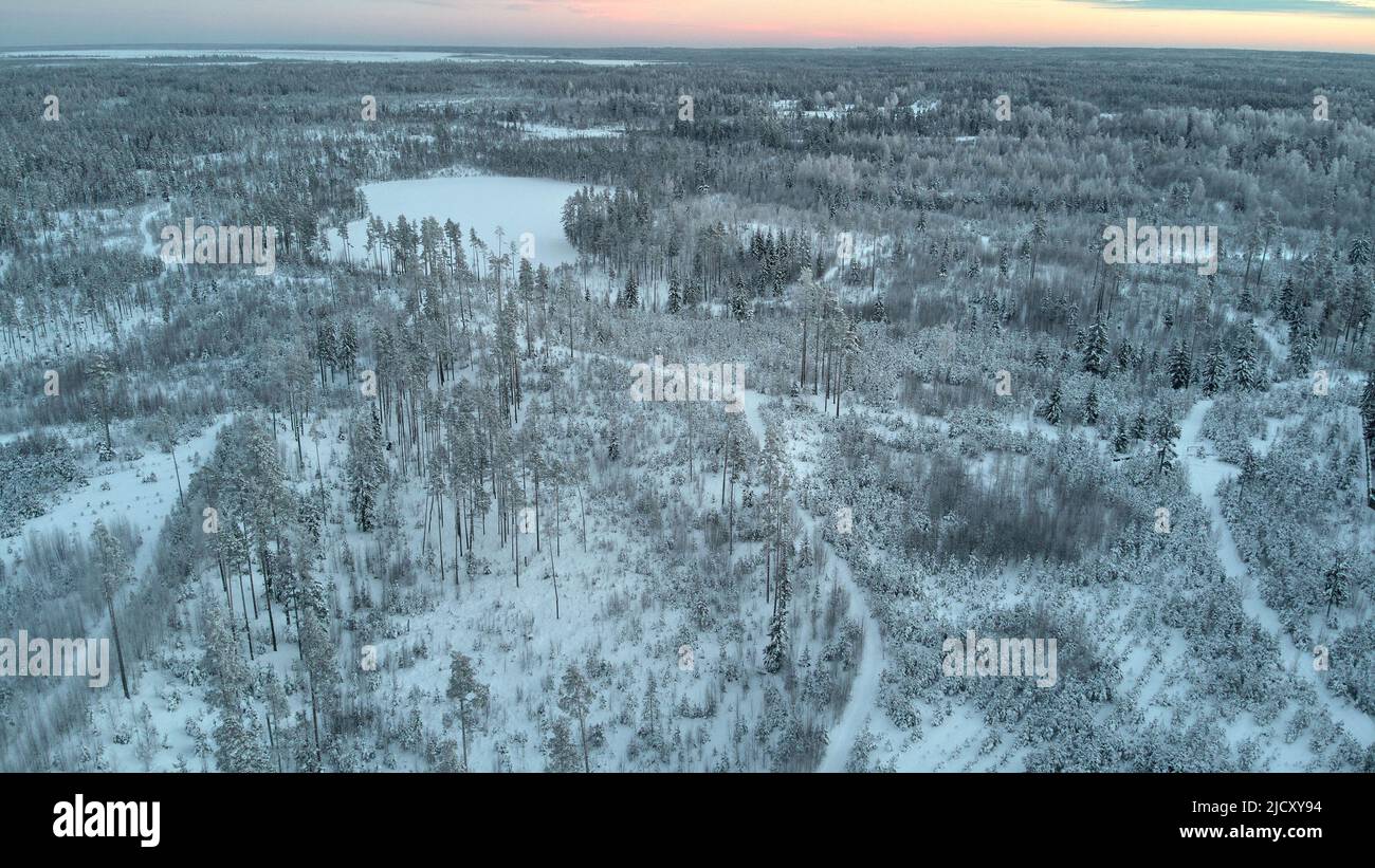 Very beautiful winter snowy nature in Russia Stock Photo - Alamy