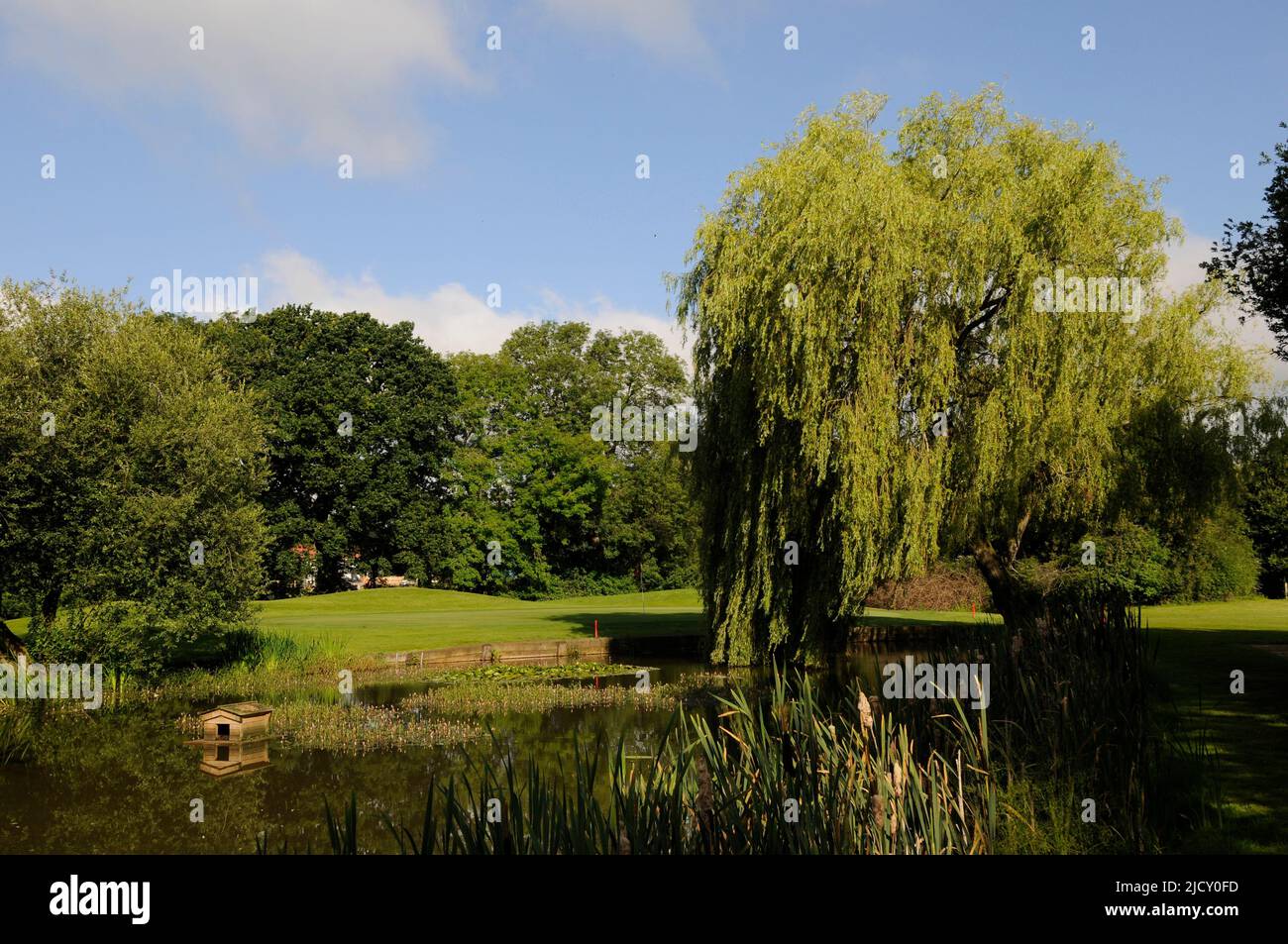 View over Pond to 14th Green with large Weeping Willow tree, Bentley ...