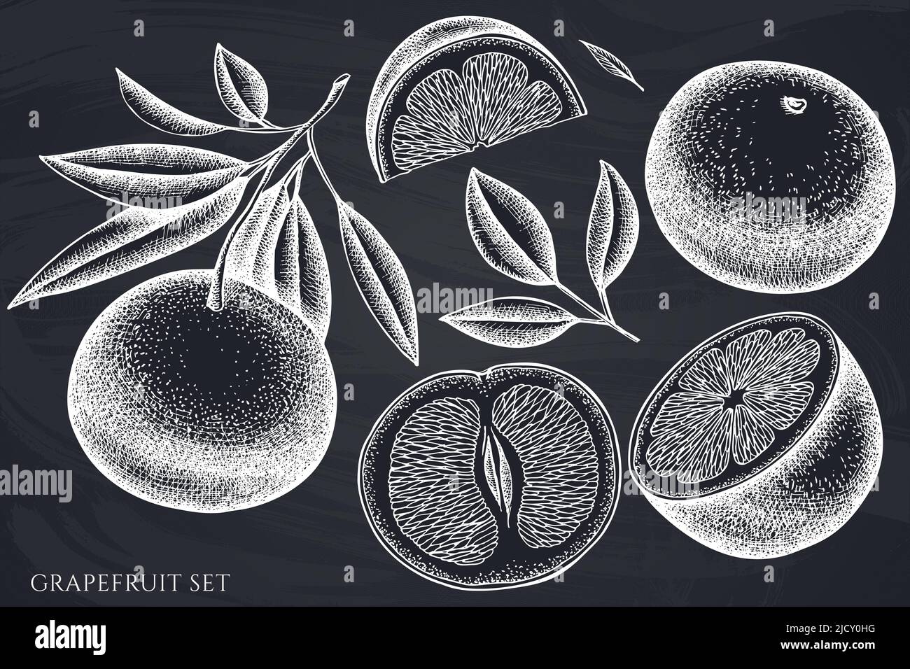Citrus hand drawn vector illustrations collection. Chalk grapefruit ...
