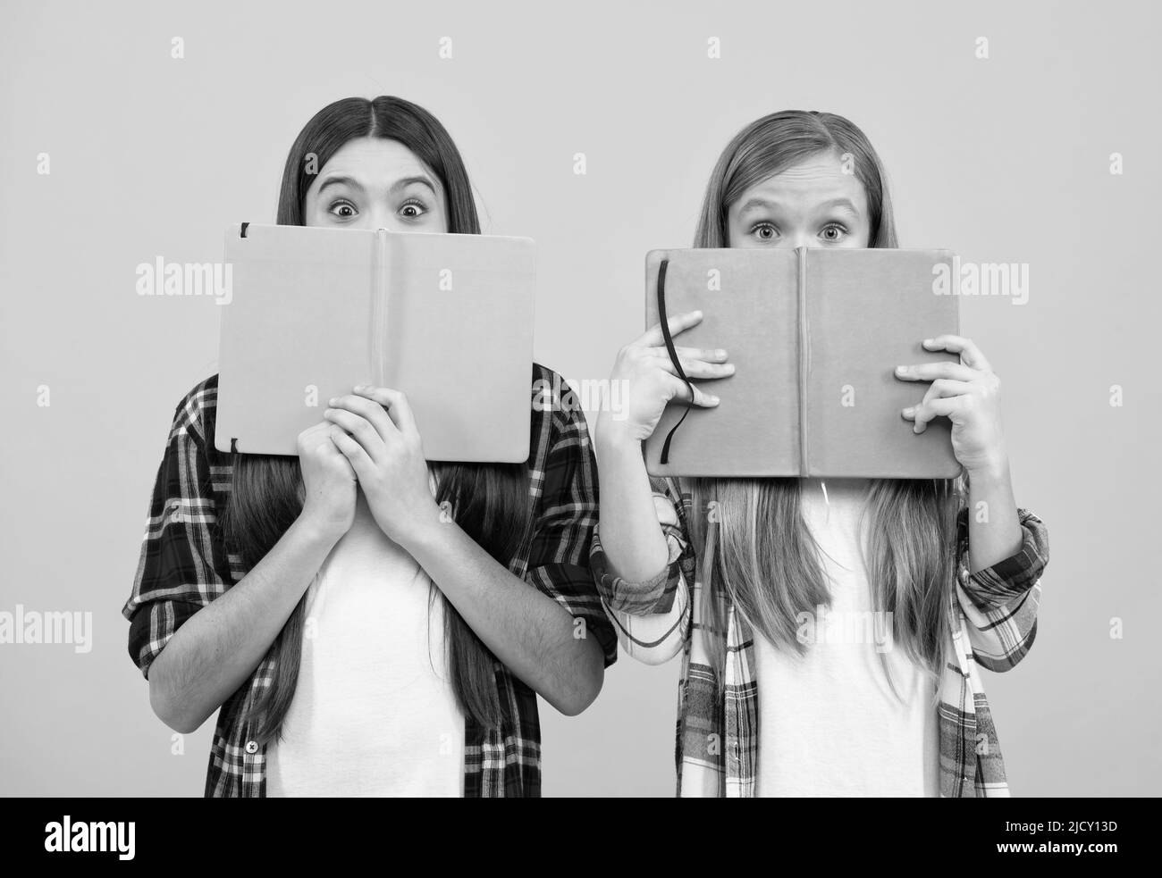 high school. friends girls with notebook. back to school. teens ready ...