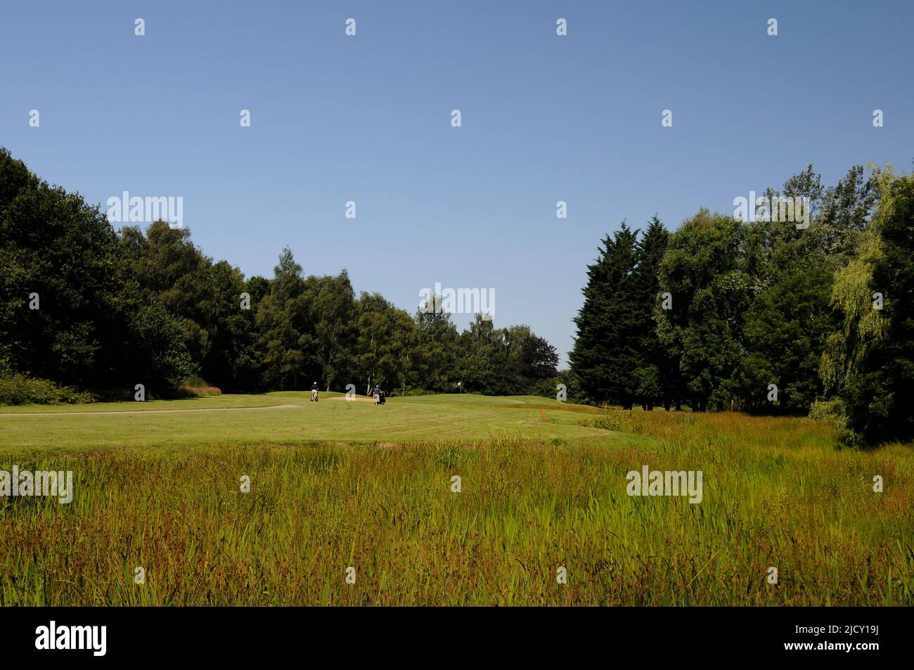 View from the Tee over pond area to 8th Green, Bentley Golf Club ...
