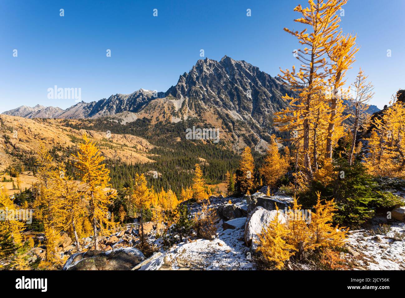 Mount stuart hi-res stock photography and images - Alamy