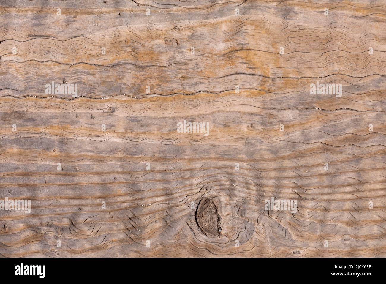 pattern of wooden background with small veins Stock Photo - Alamy