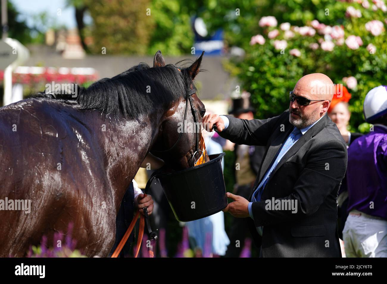Mojo star racecourse hi-res stock photography and images - Alamy