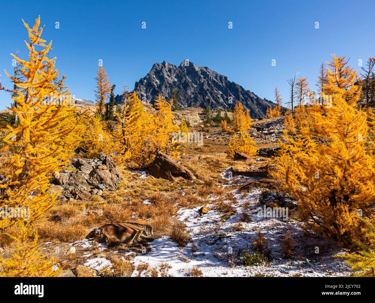 WA21678-00...WASHINGTON - Alpine larch trees and Mount Stuart from ...