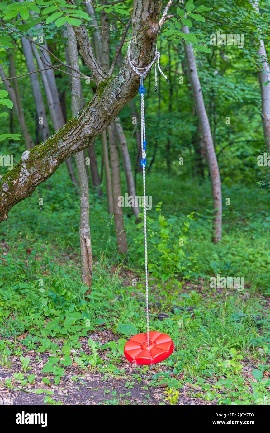 Single Rope Tree Swing Disc in Woods Kids Fun Stock Photo - Alamy