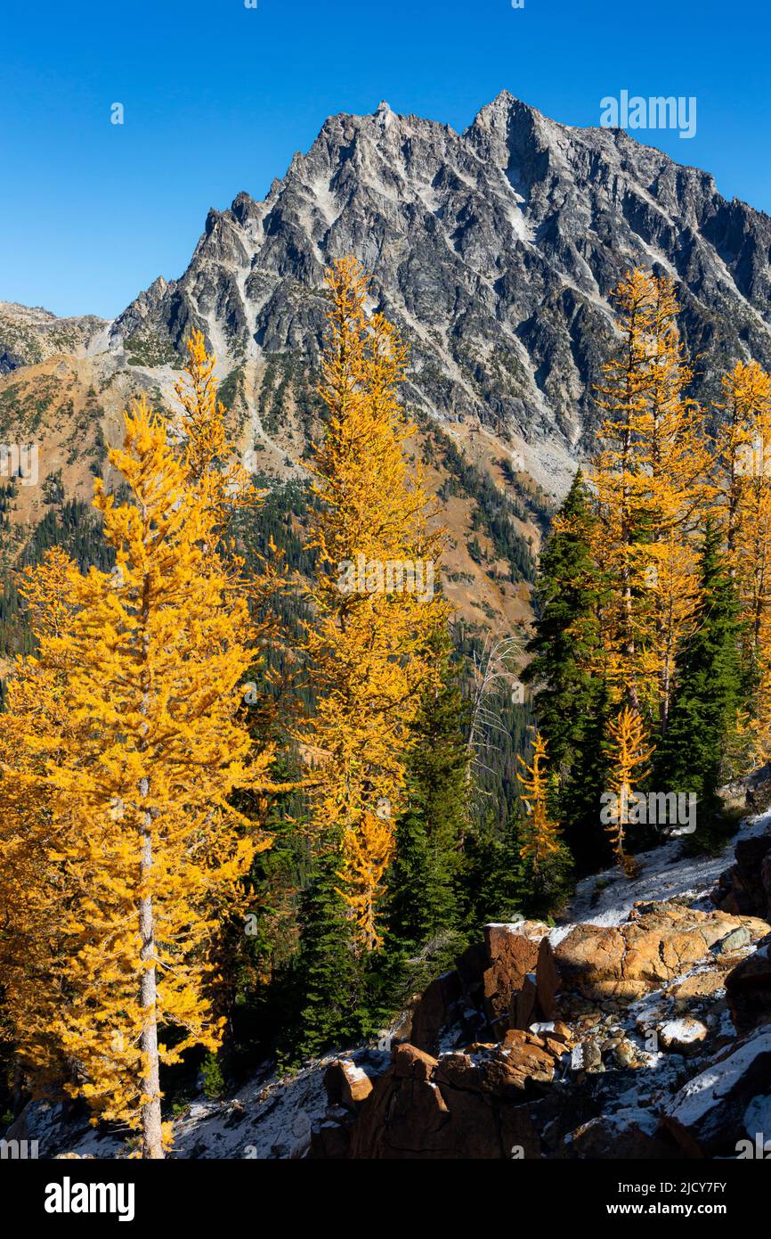 Central mount stuart hi-res stock photography and images - Alamy