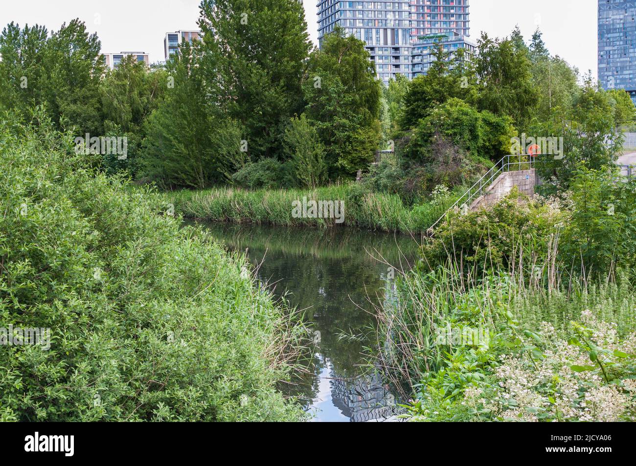 Queen elizabeth olympic park wetlands hi-res stock photography and ...
