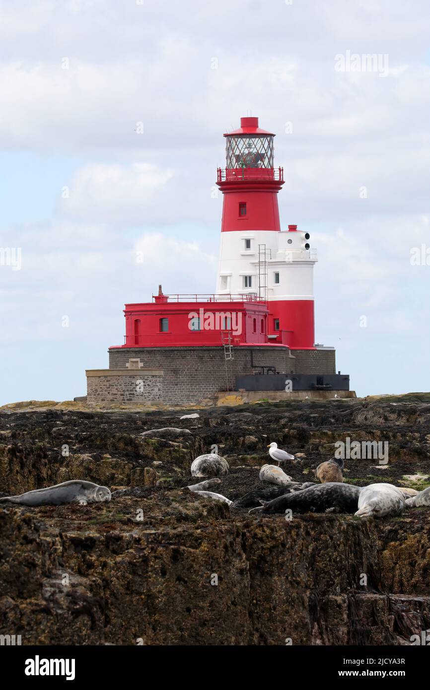 Longstone lighthouse farne islands victorian hi-res stock photography ...