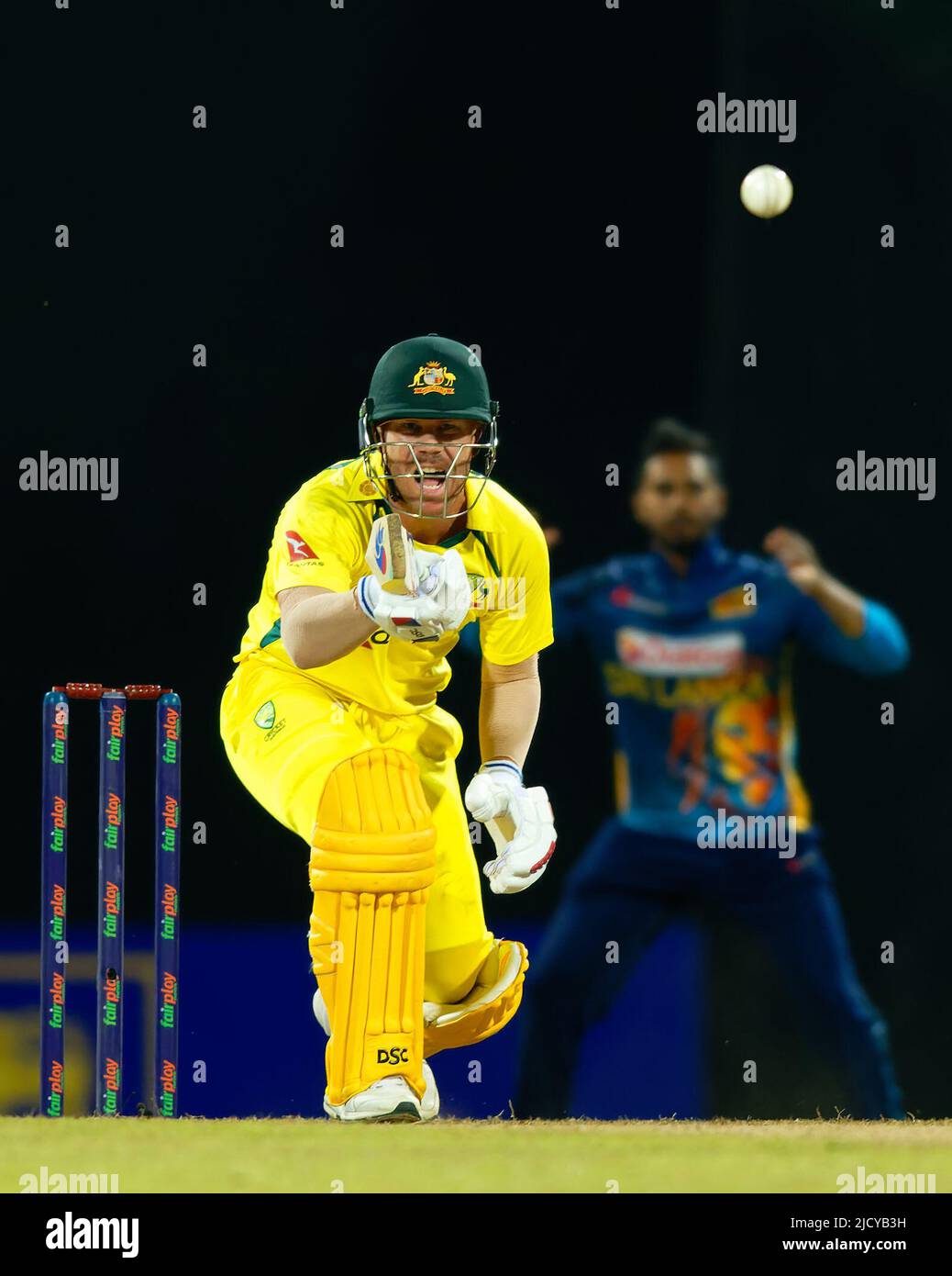 David Warner Wallpapers 2022