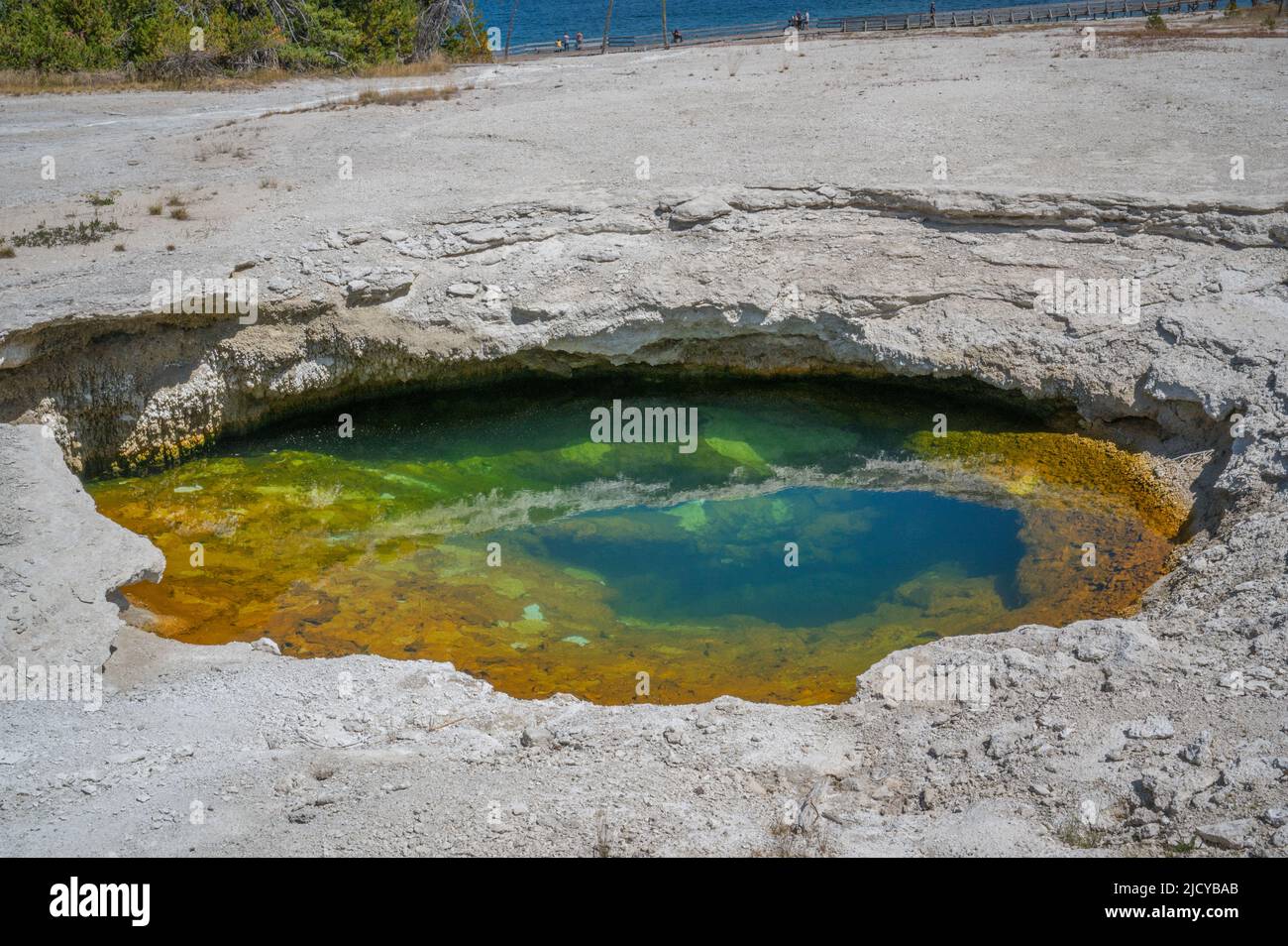 Microbes of yellowstone national park hi-res stock photography and ...
