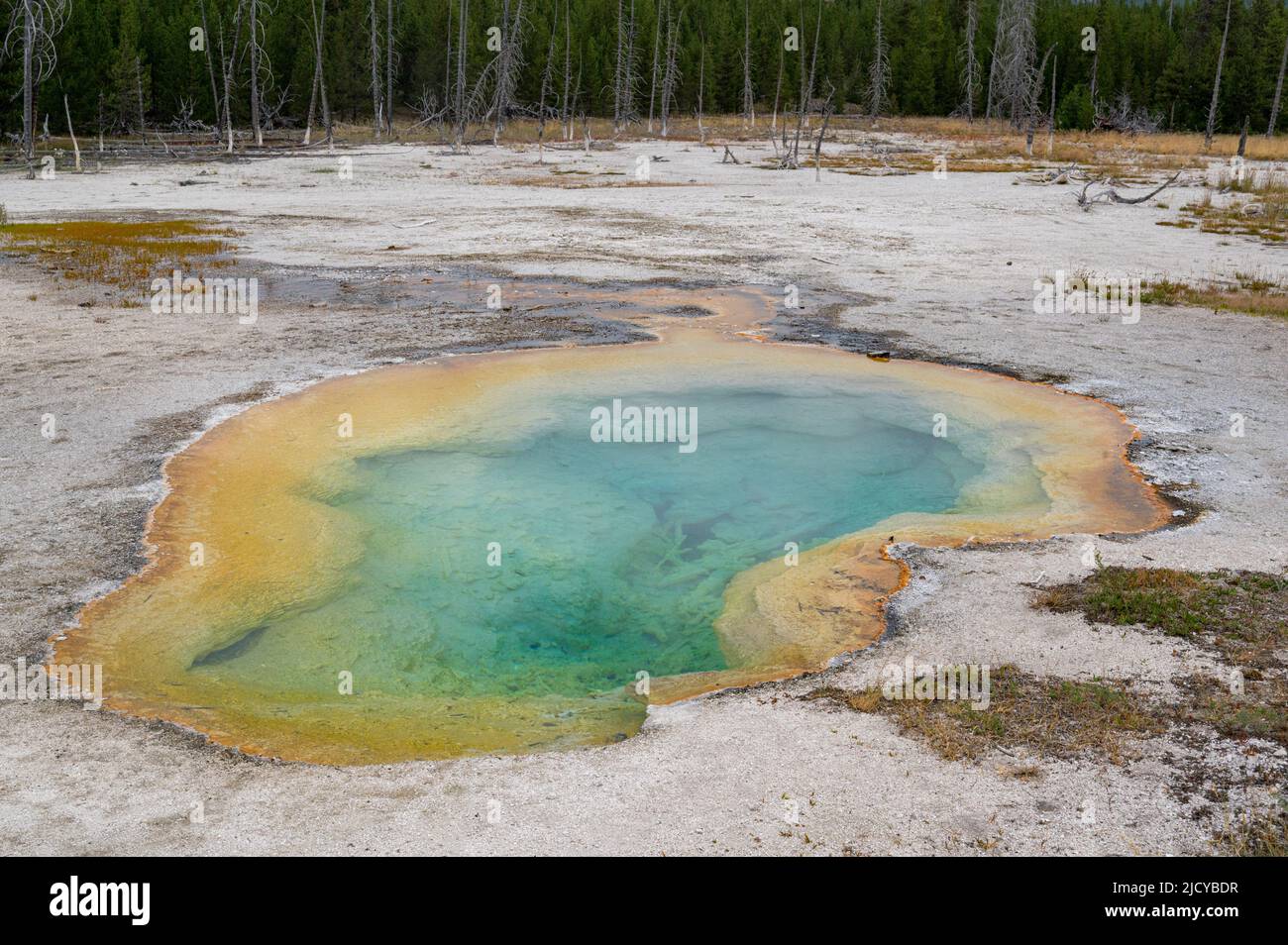 Acid pools yellowstone hi-res stock photography and images - Alamy