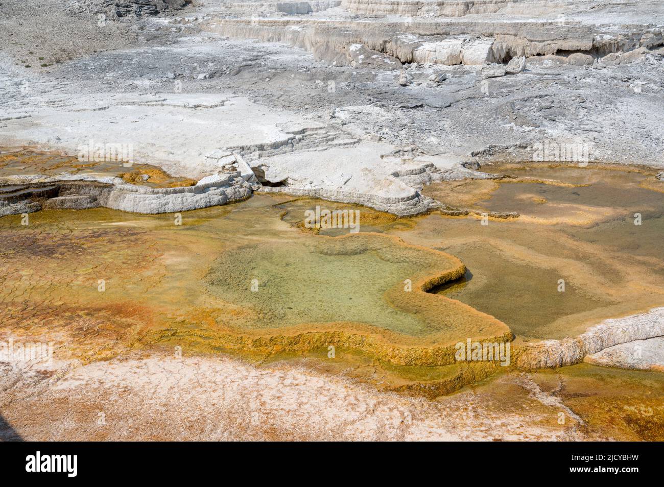 Yellowstone National Park, Wyoming Stock Photo - Alamy