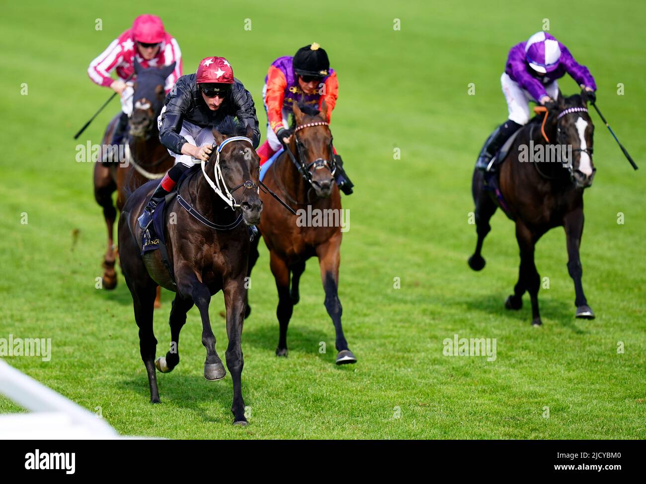 Claymore horse hi-res stock photography and images - Alamy
