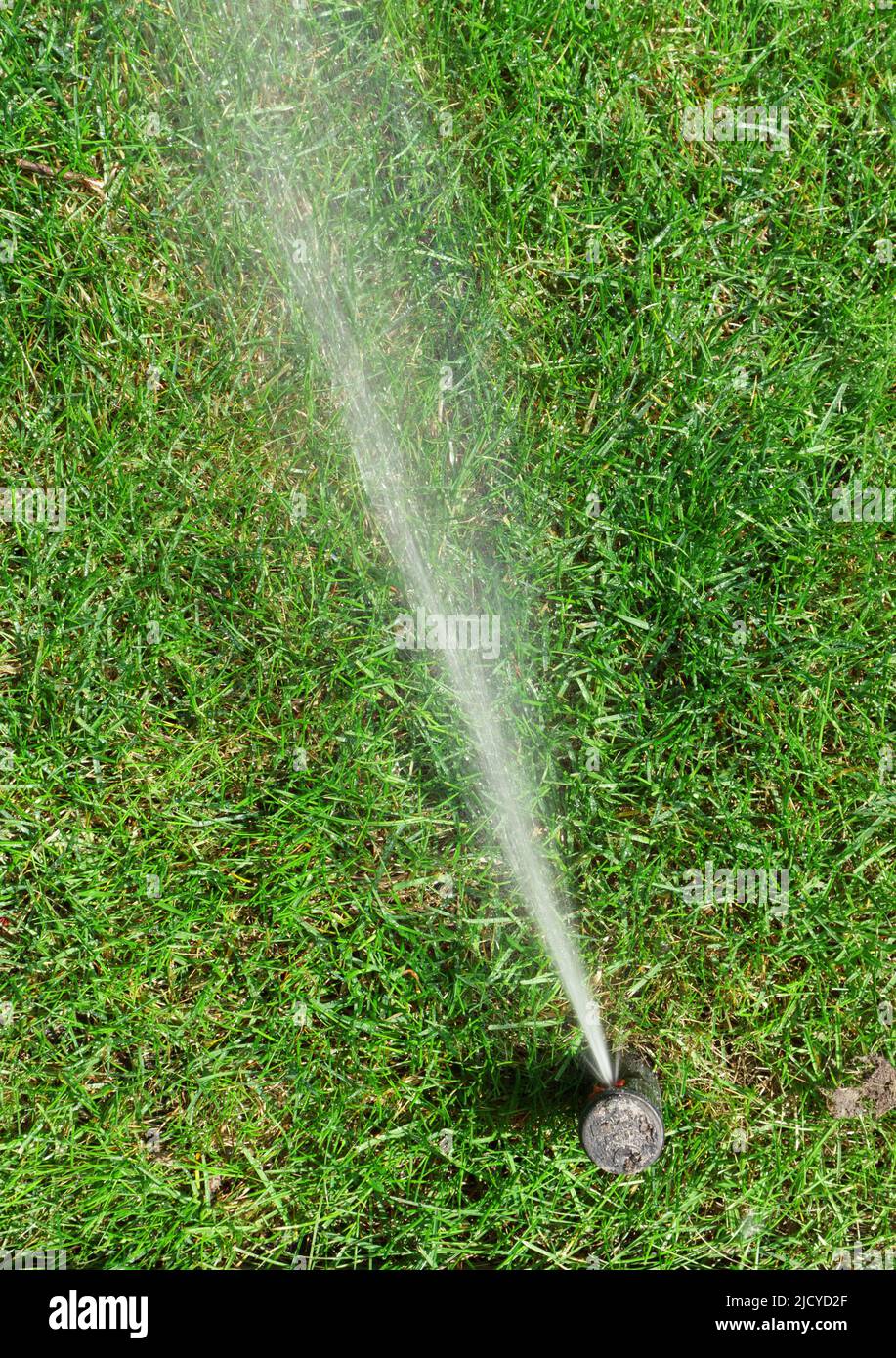 Garden irrigation system lawn. Automatic lawn sprinkler watering green ...