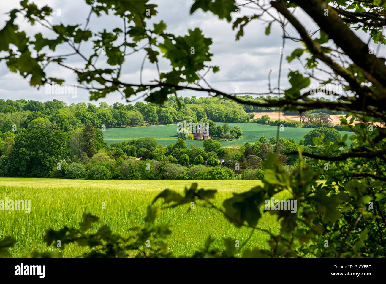 View across the Kent Countryside near Underriver, Sevenoaks, Kent ...