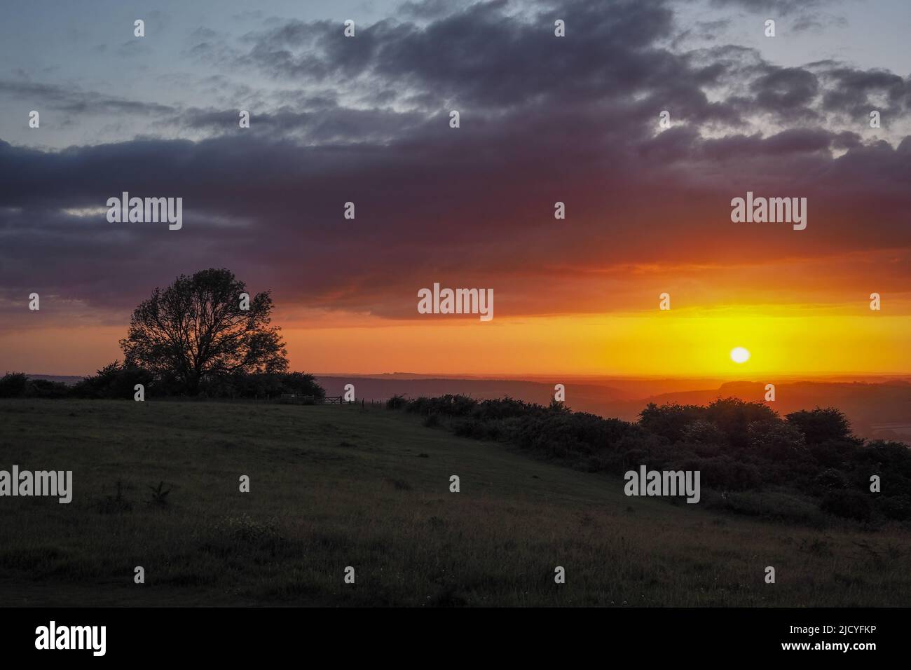 Sunset looking out from Butser Hill, highest point on the South Downs ...