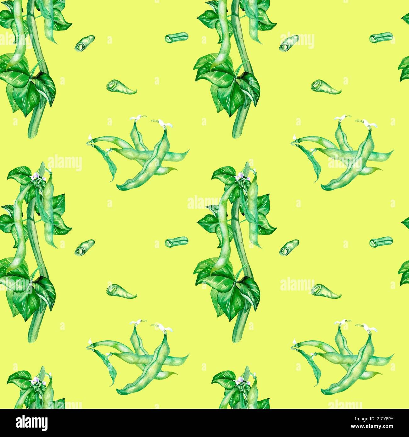 Plant green beans, haricot watercolor seamless pattern isolated. Green ...