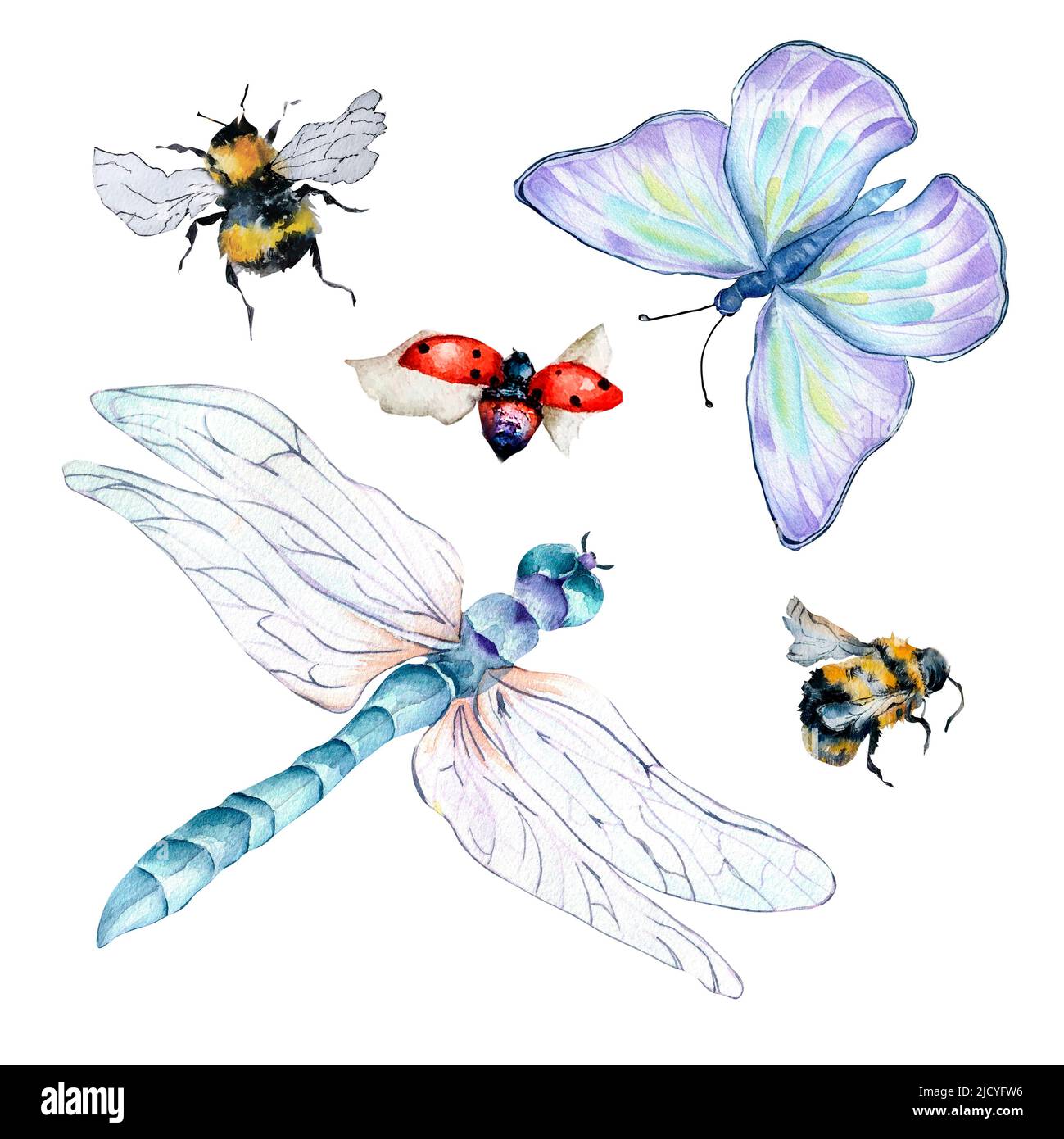 Set of grassland insects watercolor illustration on white. Butterflies ...