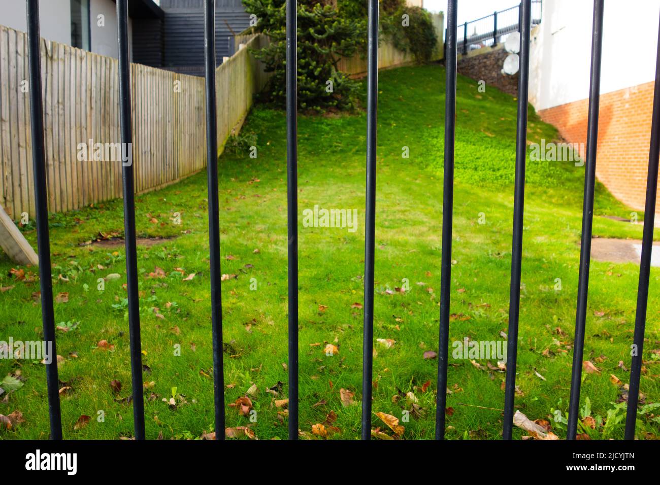black iron railings with mown grass behind and a wooden fence Stock ...