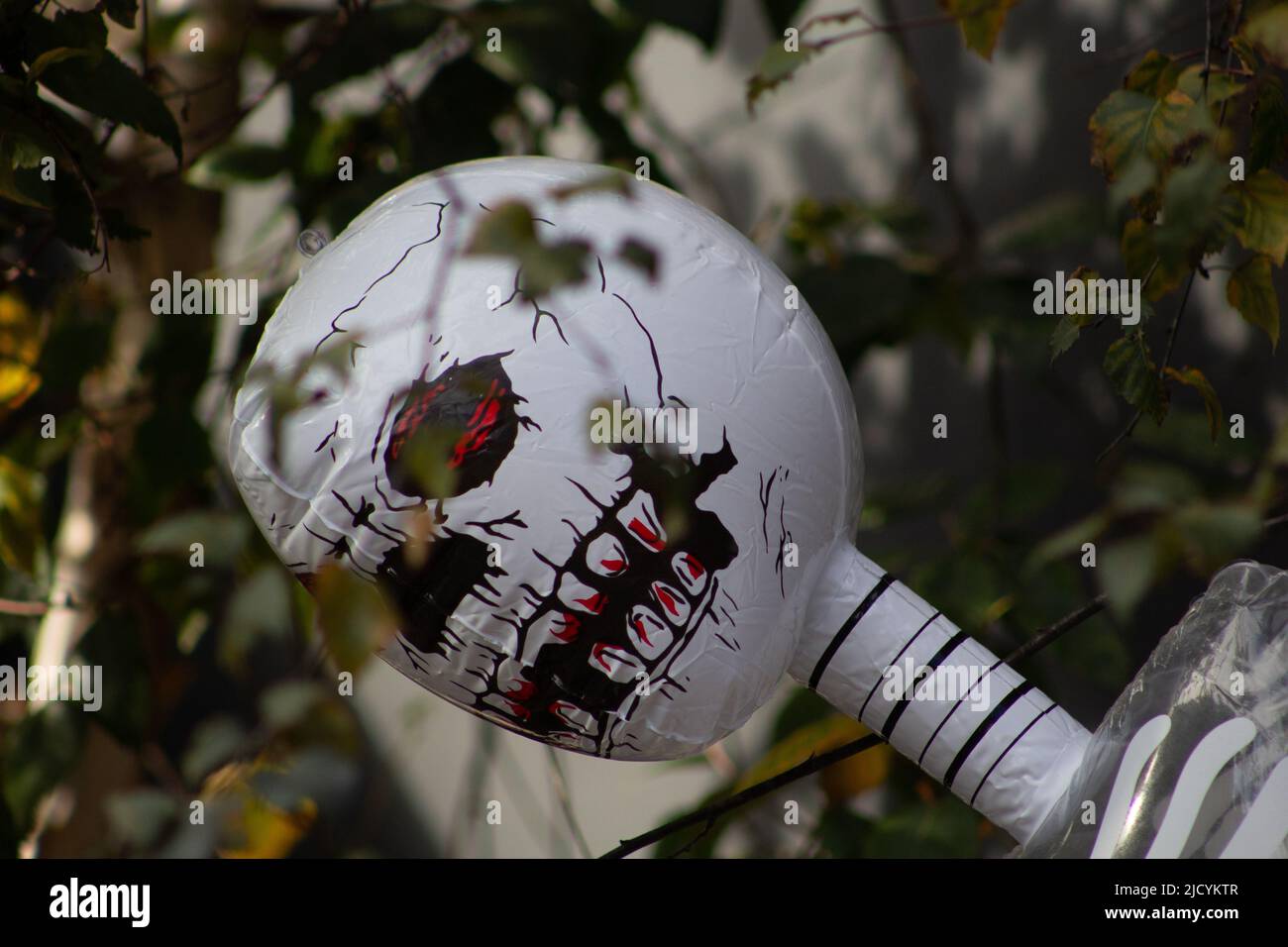 Skeleton in front garden hi-res stock photography and images - Alamy