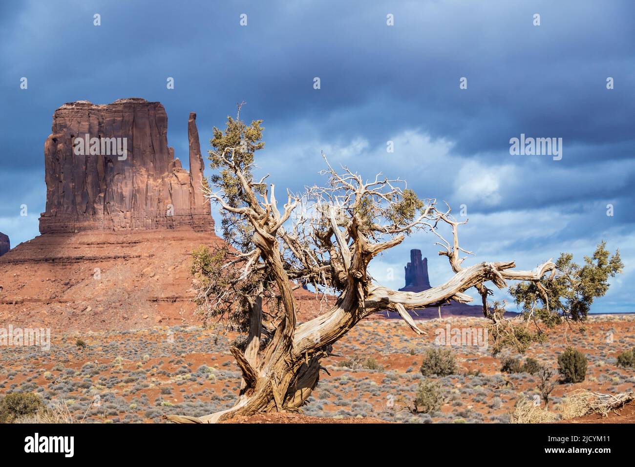 Classic southwest desert landscape under a blue sky and bright sun in ...