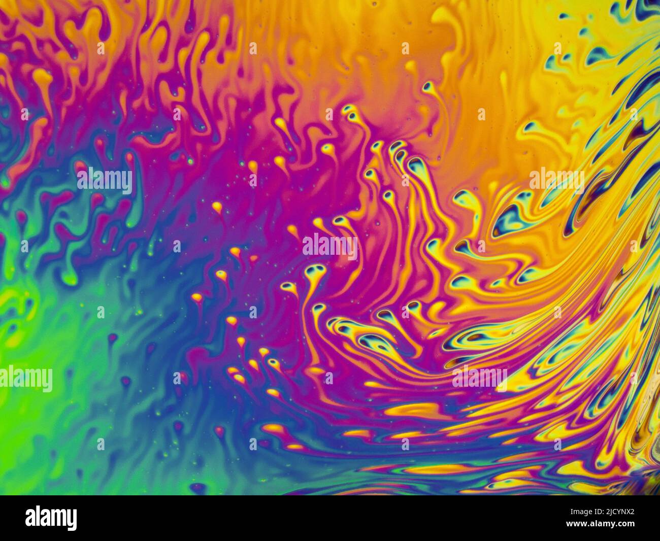 Psychedelic background. Universe of Flowers. Concept Art Design ...