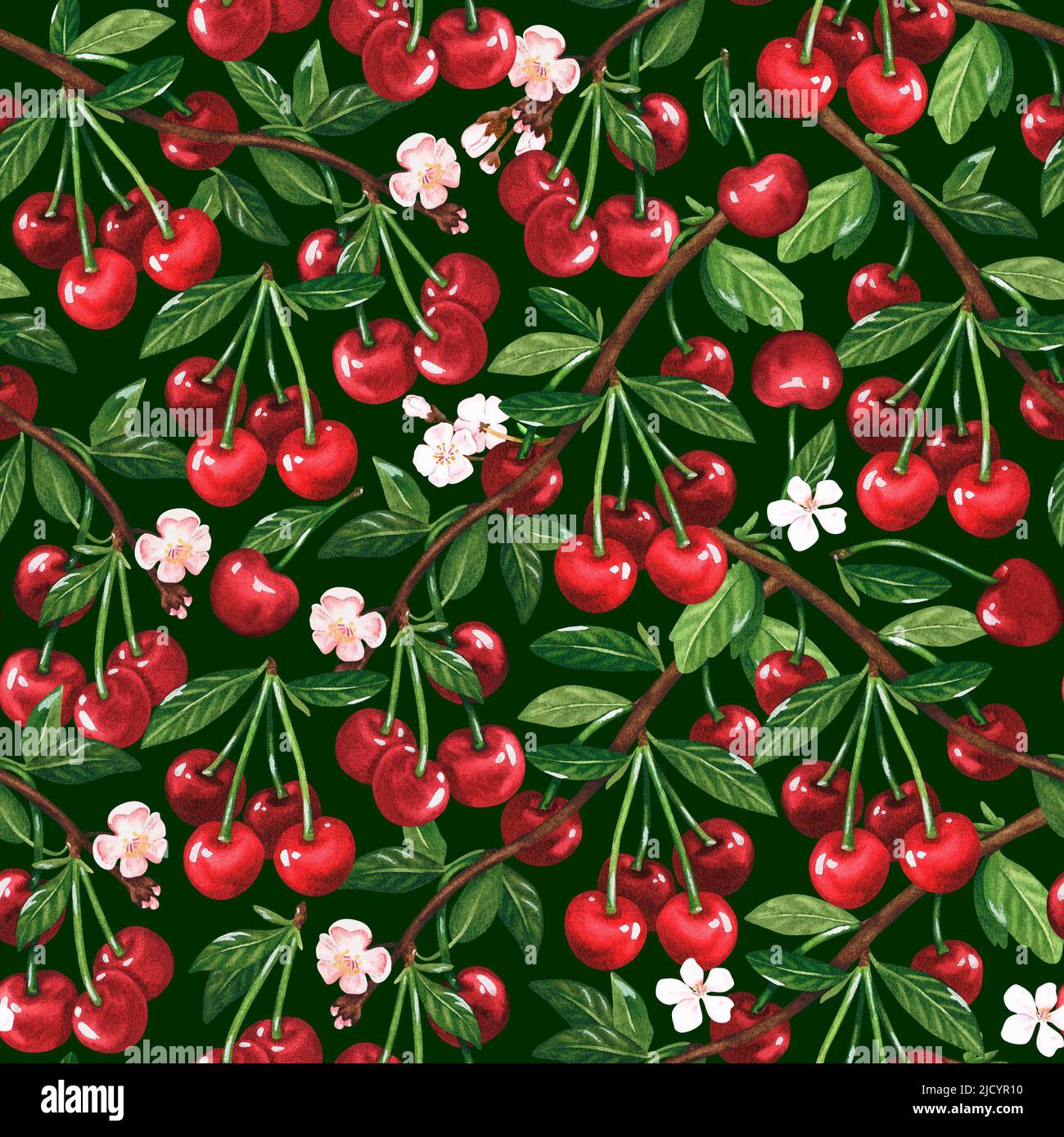 Cherry Seamless Pattern. Watercolor illustration. Isolated on a green ...