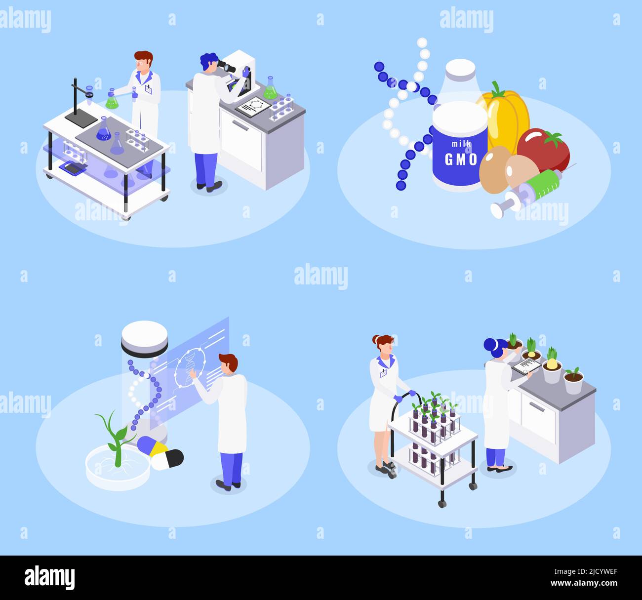 Bio engineering concept 4 isometric icons with genetically modified food gmo biotechnology ...