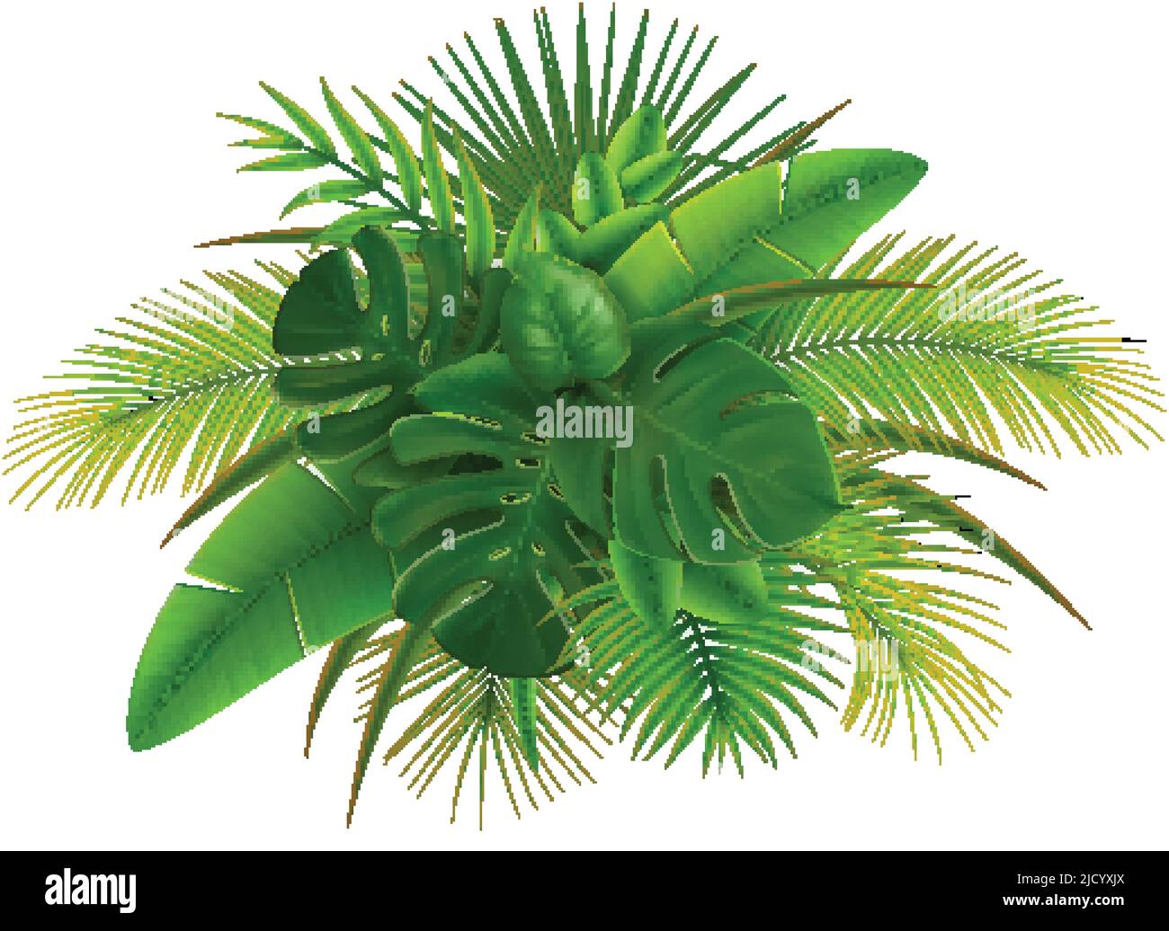 Tropics vegetation Stock Vector Images - Alamy