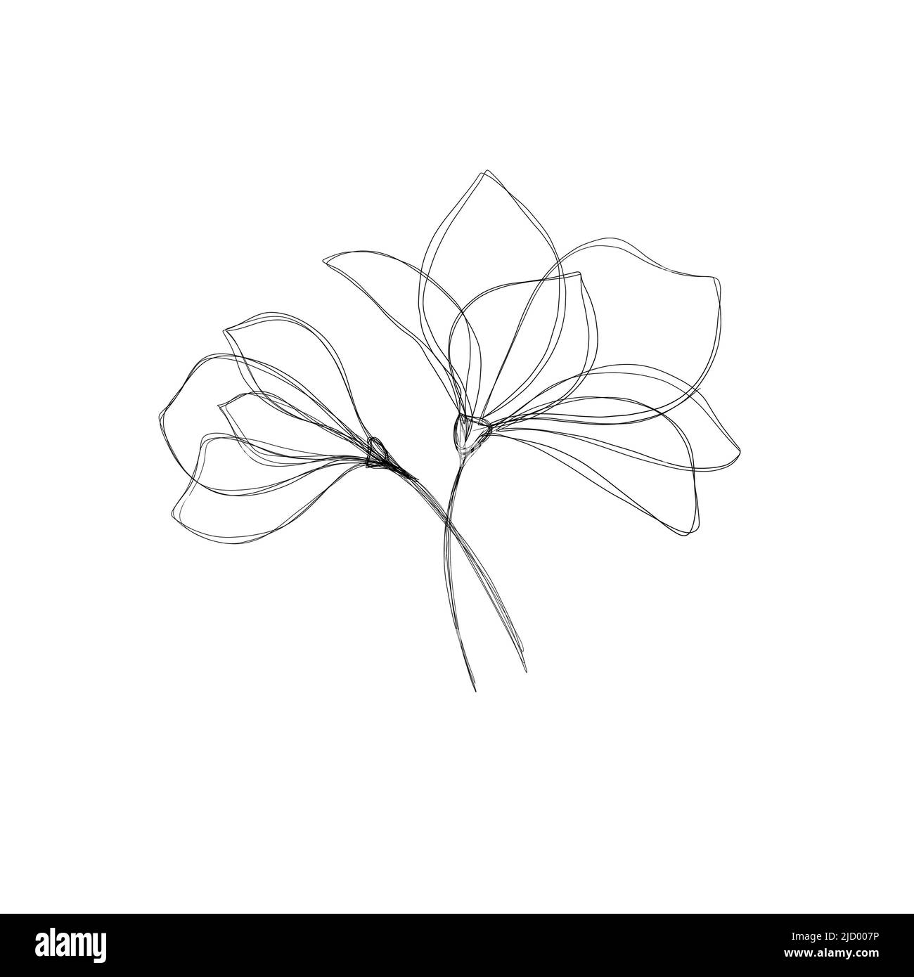 flower continuous line drawing. One line art. Editable line. minimalism ...