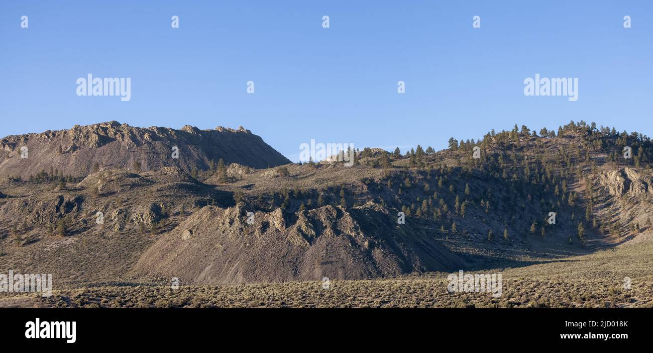 Dry rocky desert mountain landscape with trees Stock Photo - Alamy