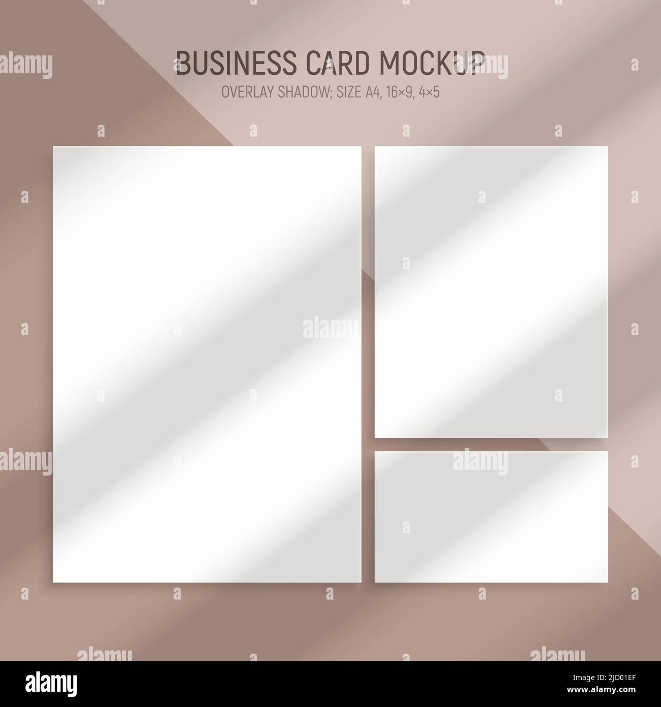 Realistic window light and shadow set of business cards with blank ...