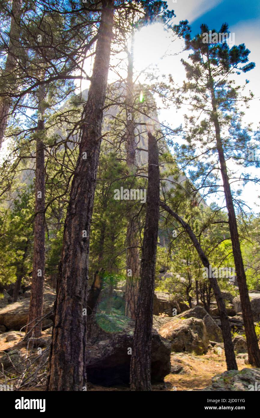 Devil's Tower National Monument, Wyoming Stock Photo - Alamy