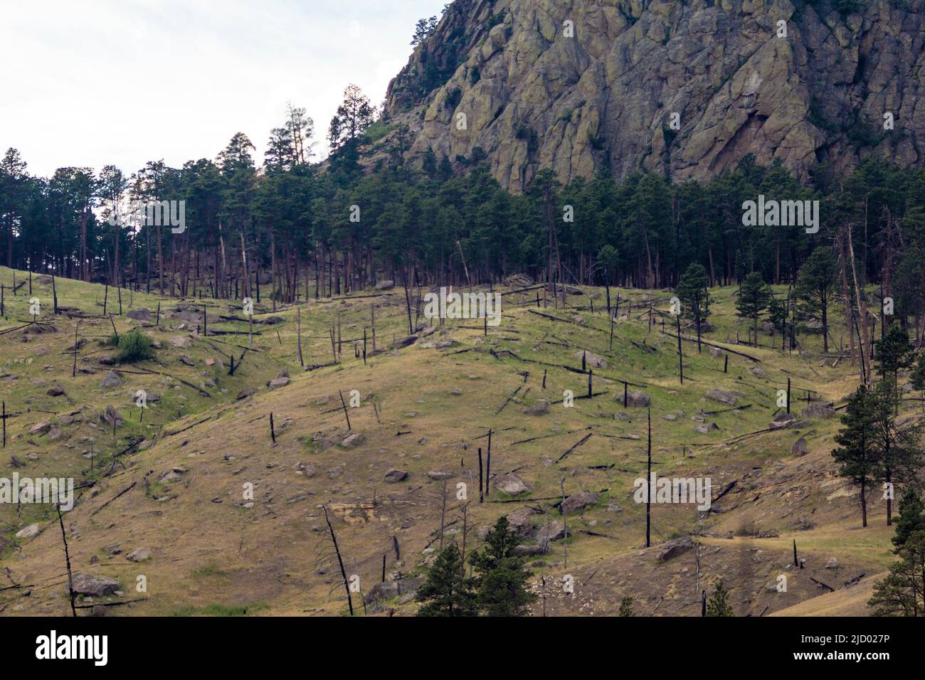 Devil's Tower National Monument, Wyoming Stock Photo - Alamy