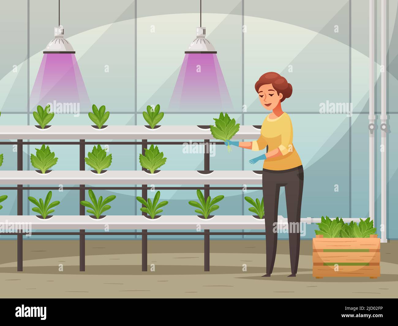 Greenhouse farming background with led light nutrients cartoon vector ...