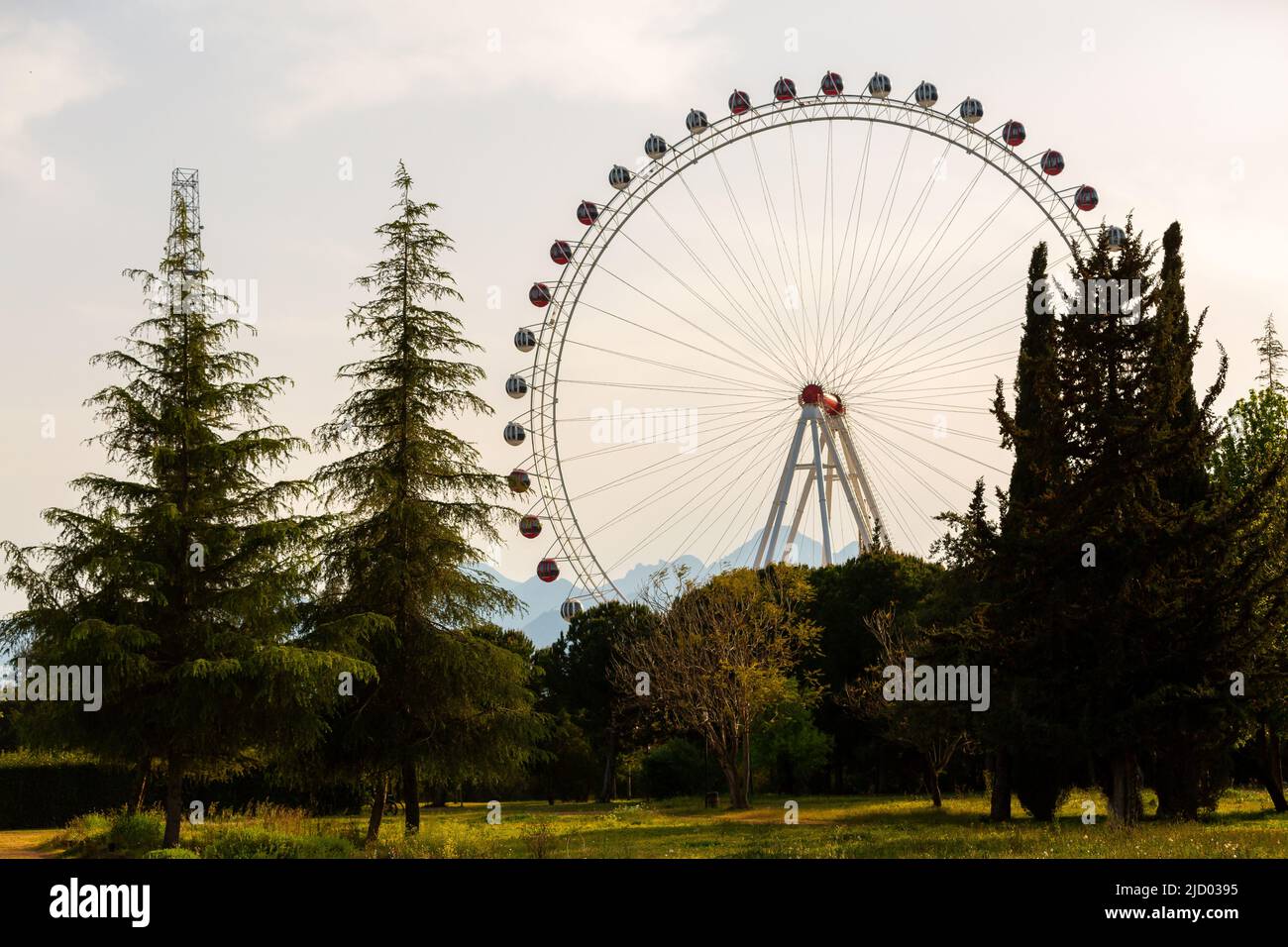 Ferris wheel among green trees Stock Photo - Alamy