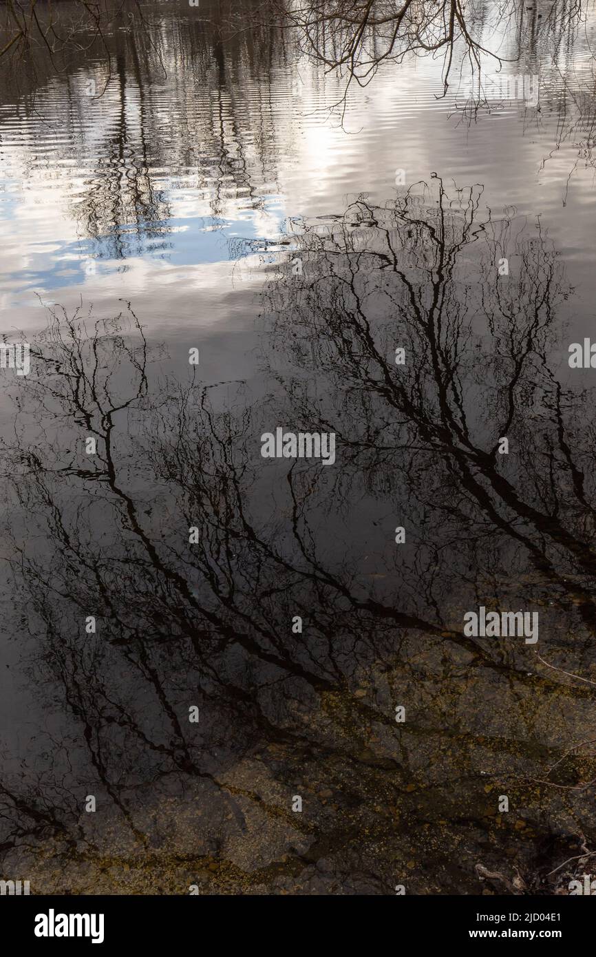 Trees, sky and clouds reflections on water Stock Photo - Alamy