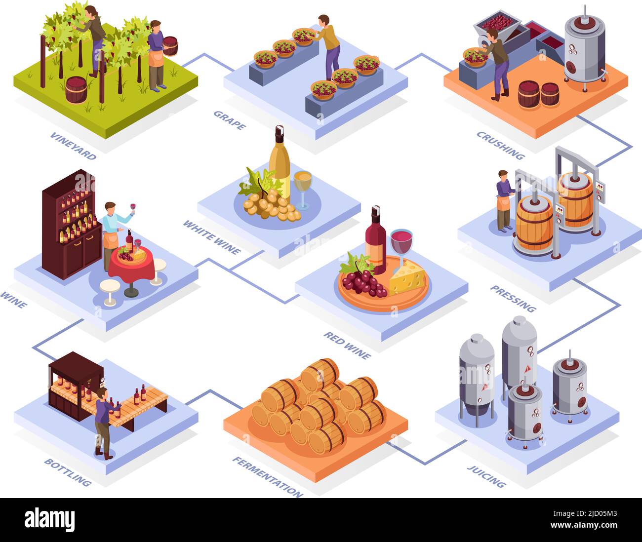 Wine production flowchart with pressing and fermentation symbols ...