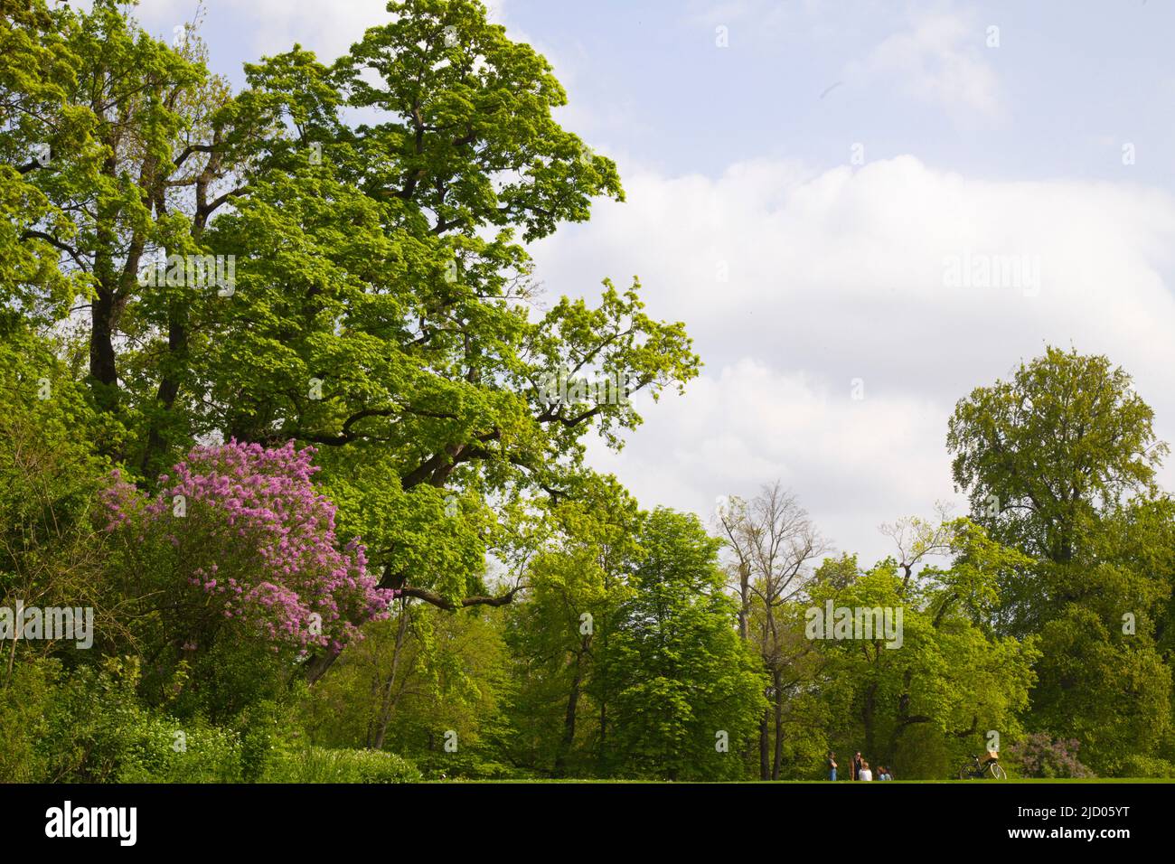 Germany, Thuringia, Weimar, Ilm Park, landscape, scenery Stock Photo ...