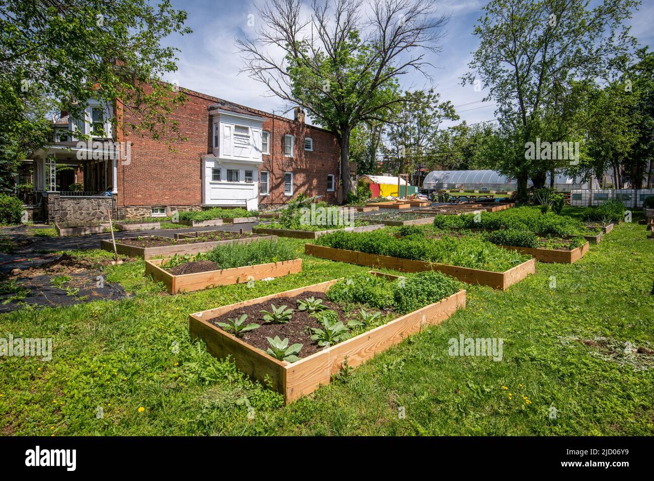 Urban Farm Baltimore Stock Photo - Alamy