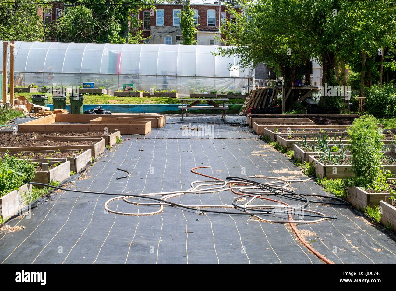 Urban Farm Baltimore Stock Photo - Alamy
