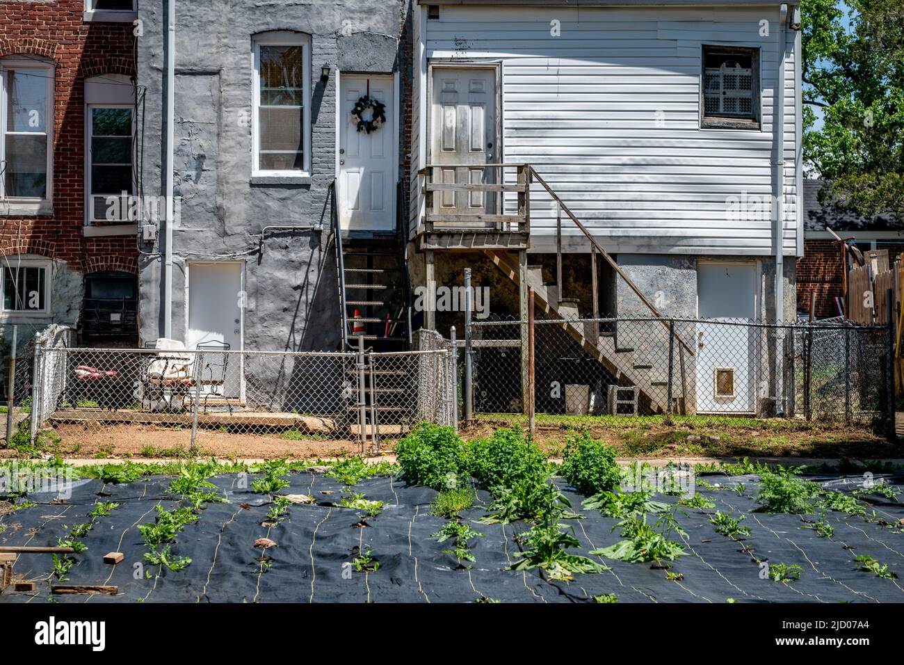 Urban Farm Baltimore Stock Photo - Alamy