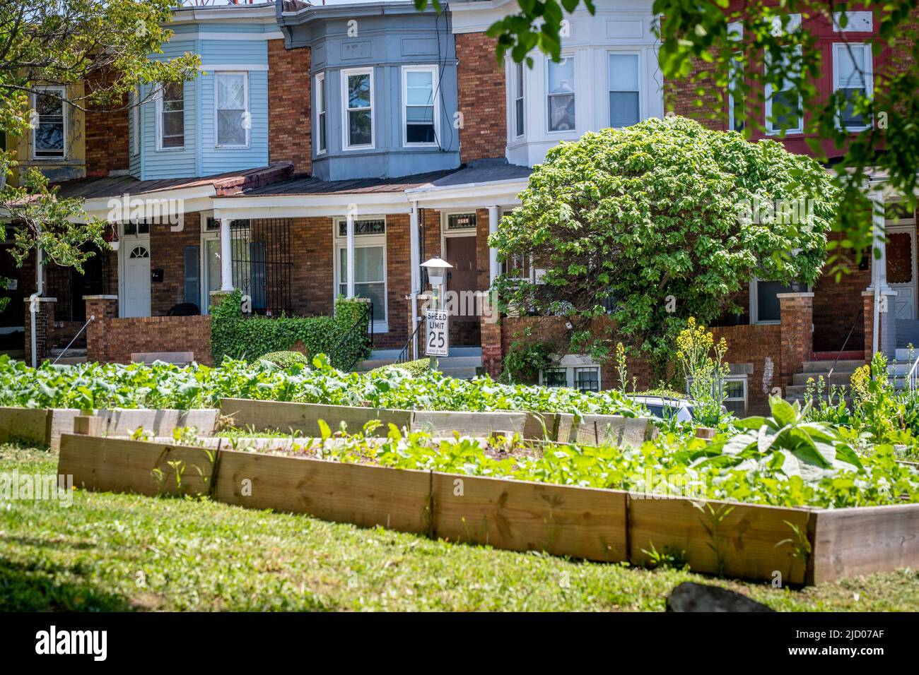 Urban Farm Baltimore Stock Photo - Alamy