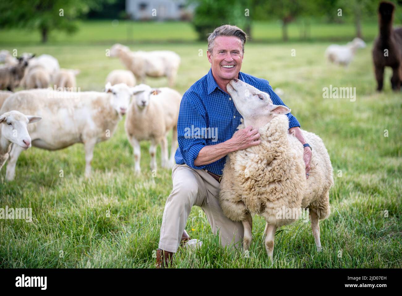 Field barry hi-res stock photography and images - Alamy