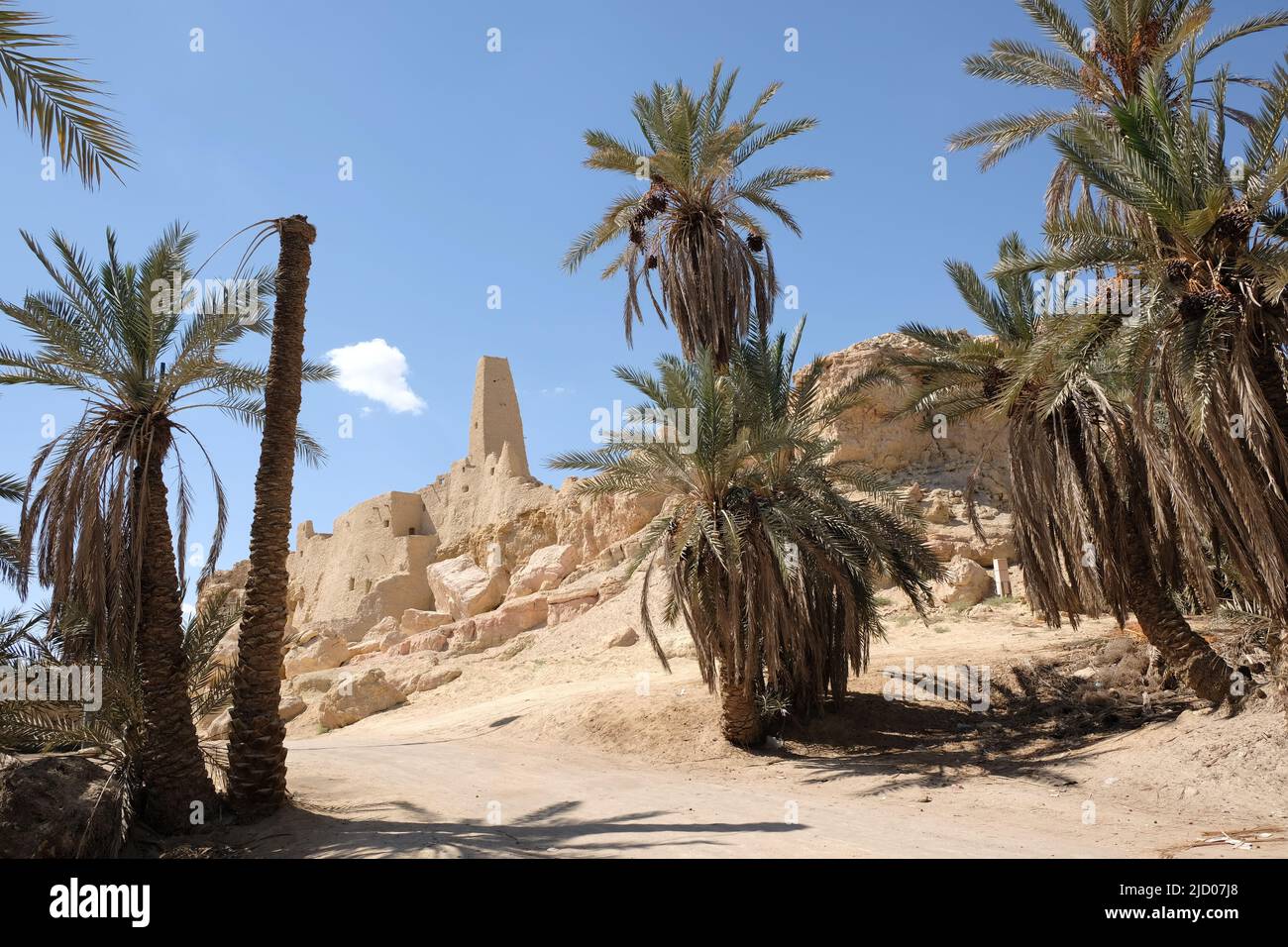 Temple of the Oracle of Amun in Siwa Egypt Stock Photo - Alamy