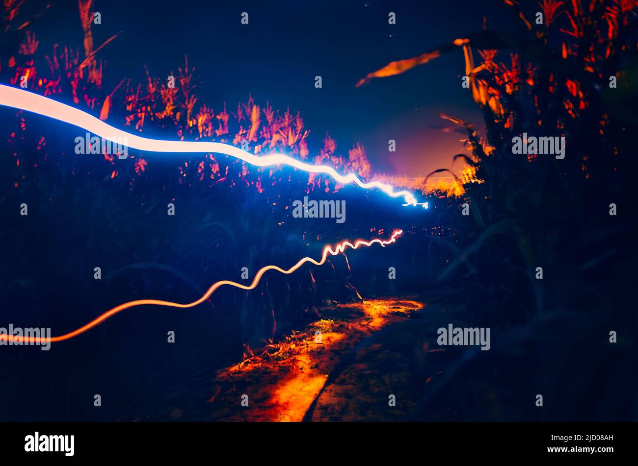 Running in a corn maze hi-res stock photography and images - Alamy